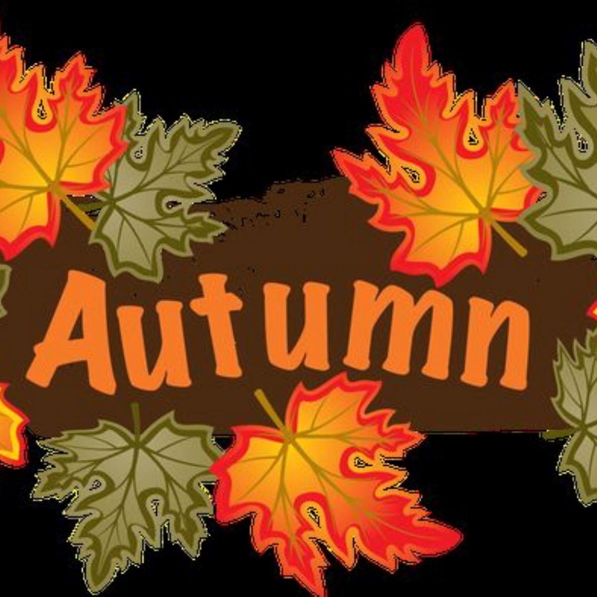Norwood Primary School - Autumn Half Term